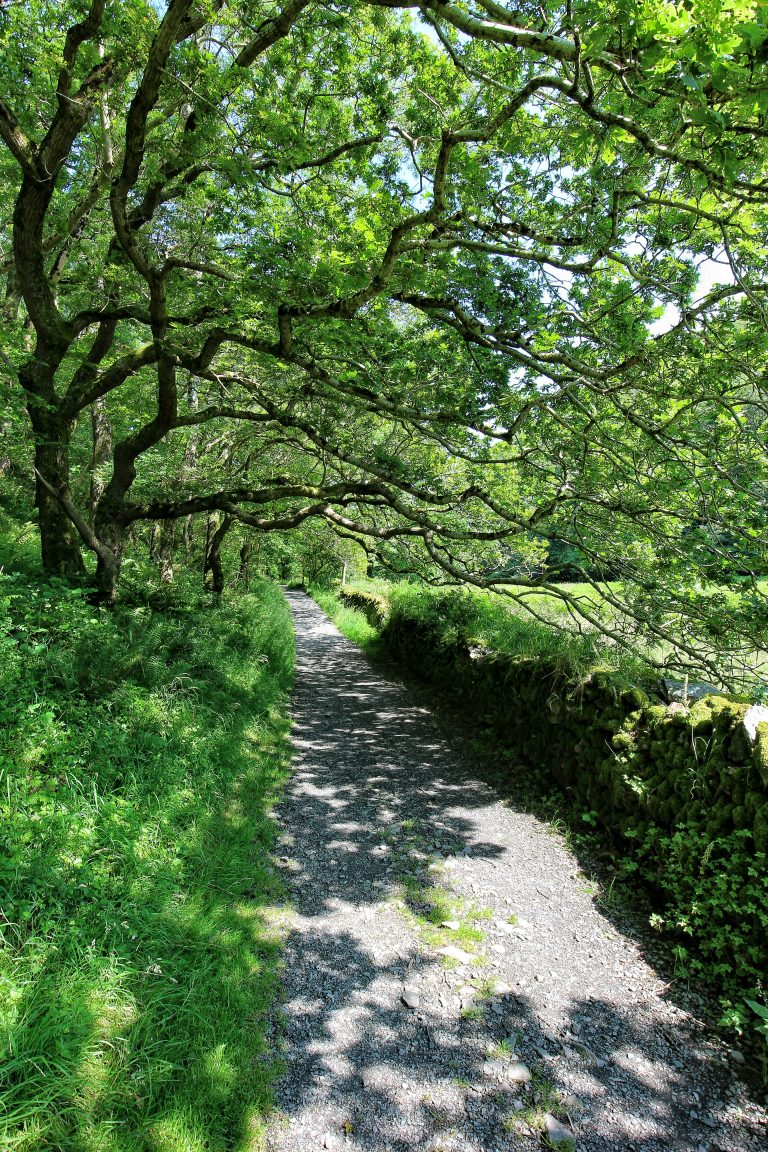 Discover the Heddon Valley – The Helpful Hiker