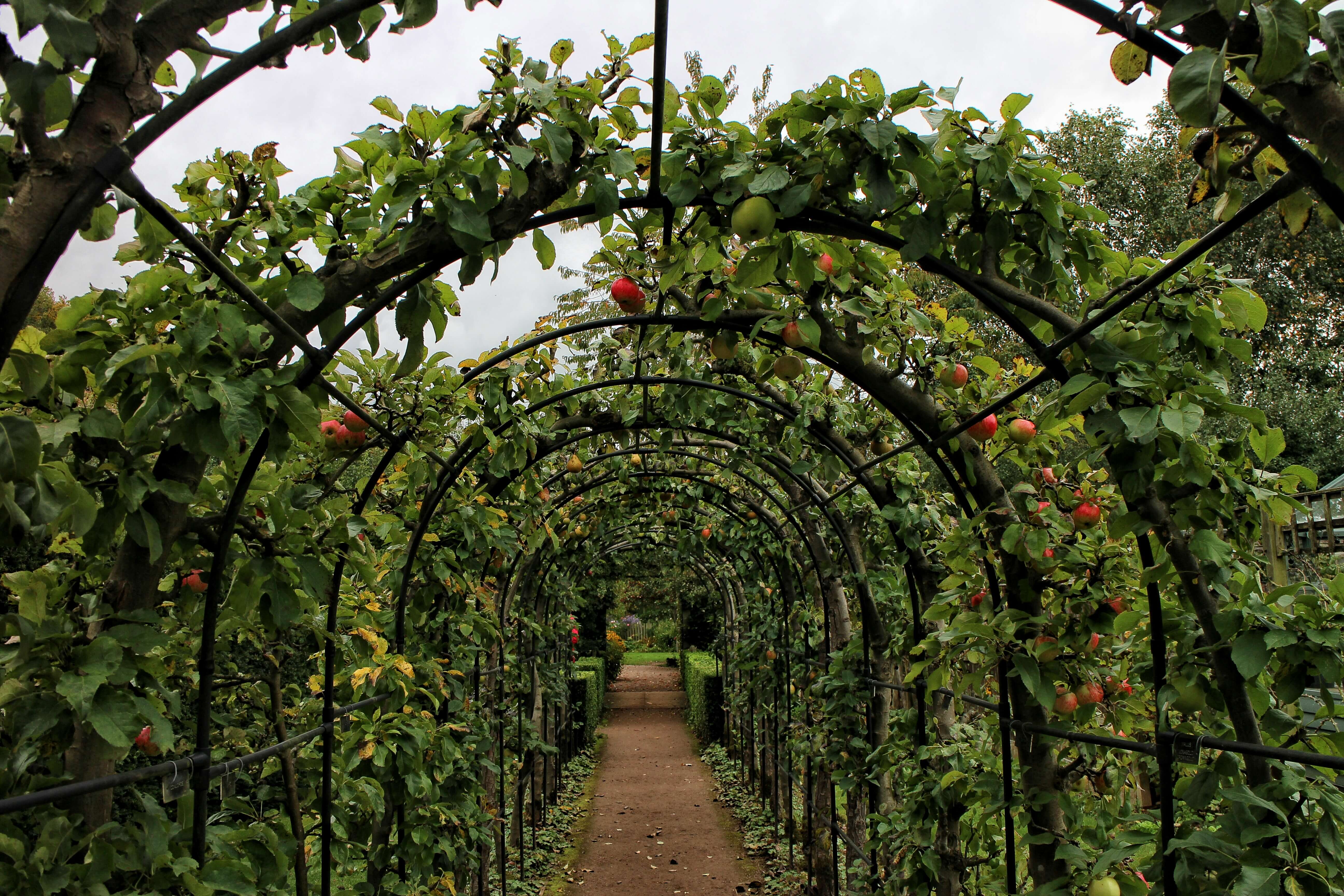 Barnsdale Gardens, Oakham | The Helpful Hiker