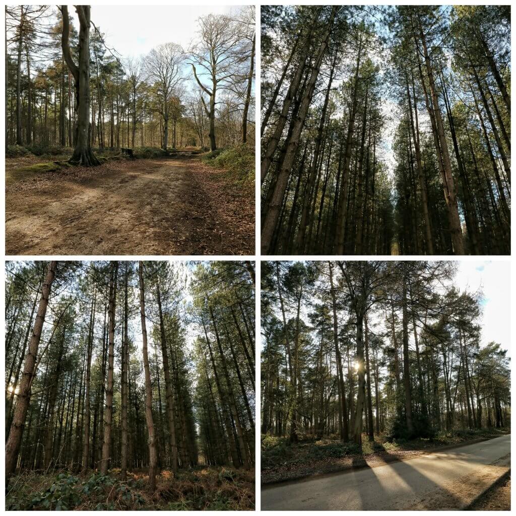 Harlestone Easy 3 Mile Walk – The Helpful Hiker