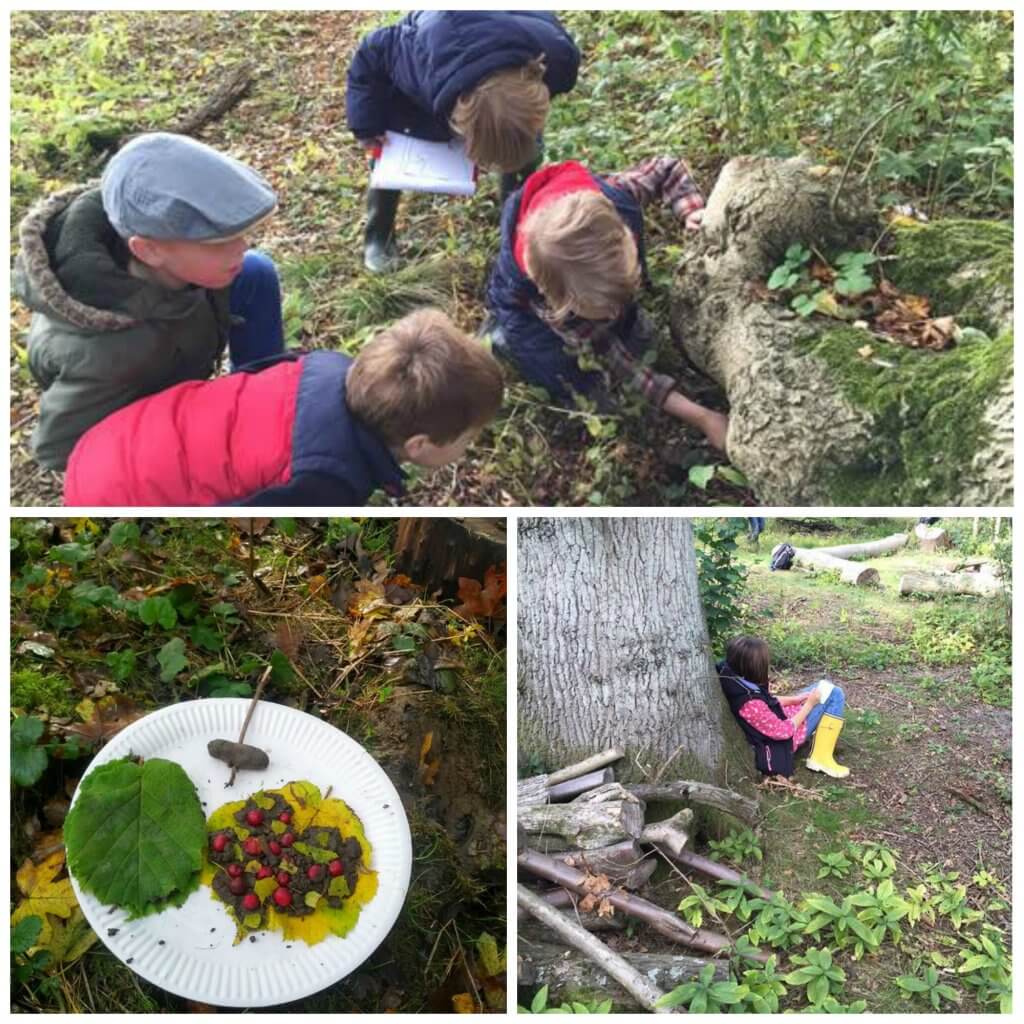 An Introduction To Forest School – The Helpful Hiker