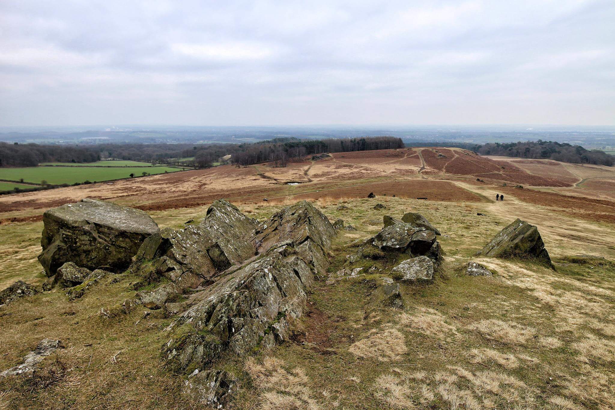 Bradgate Park Walk – The Helpful Hiker