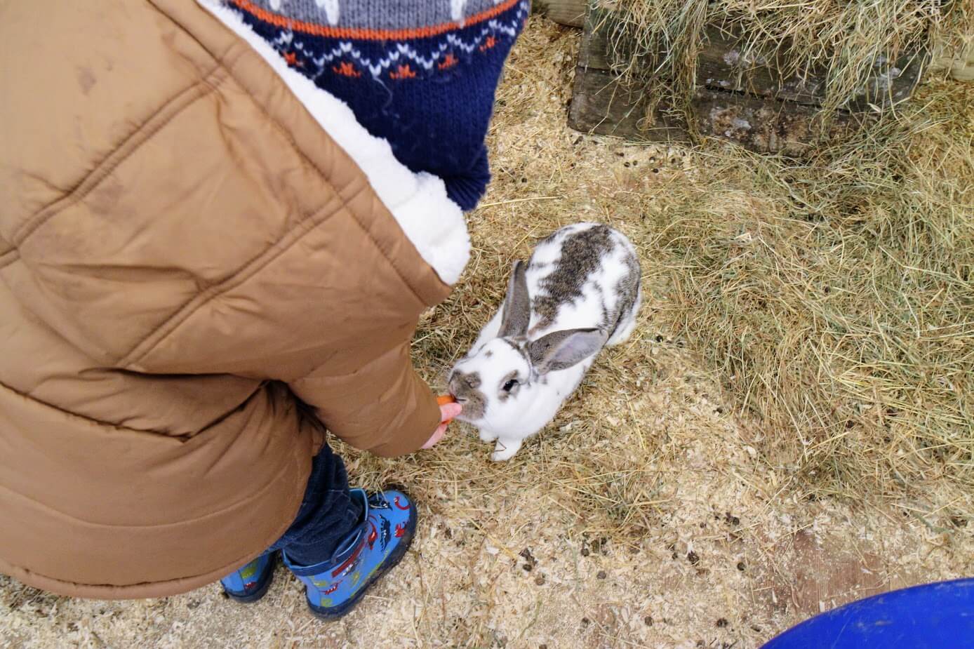 Mini Meadows Farm, Northants – The Helpful Hiker