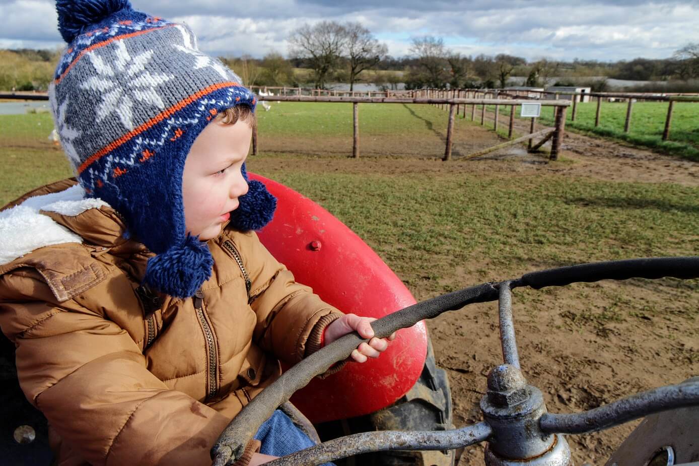 Mini Meadows Farm, Northants – The Helpful Hiker