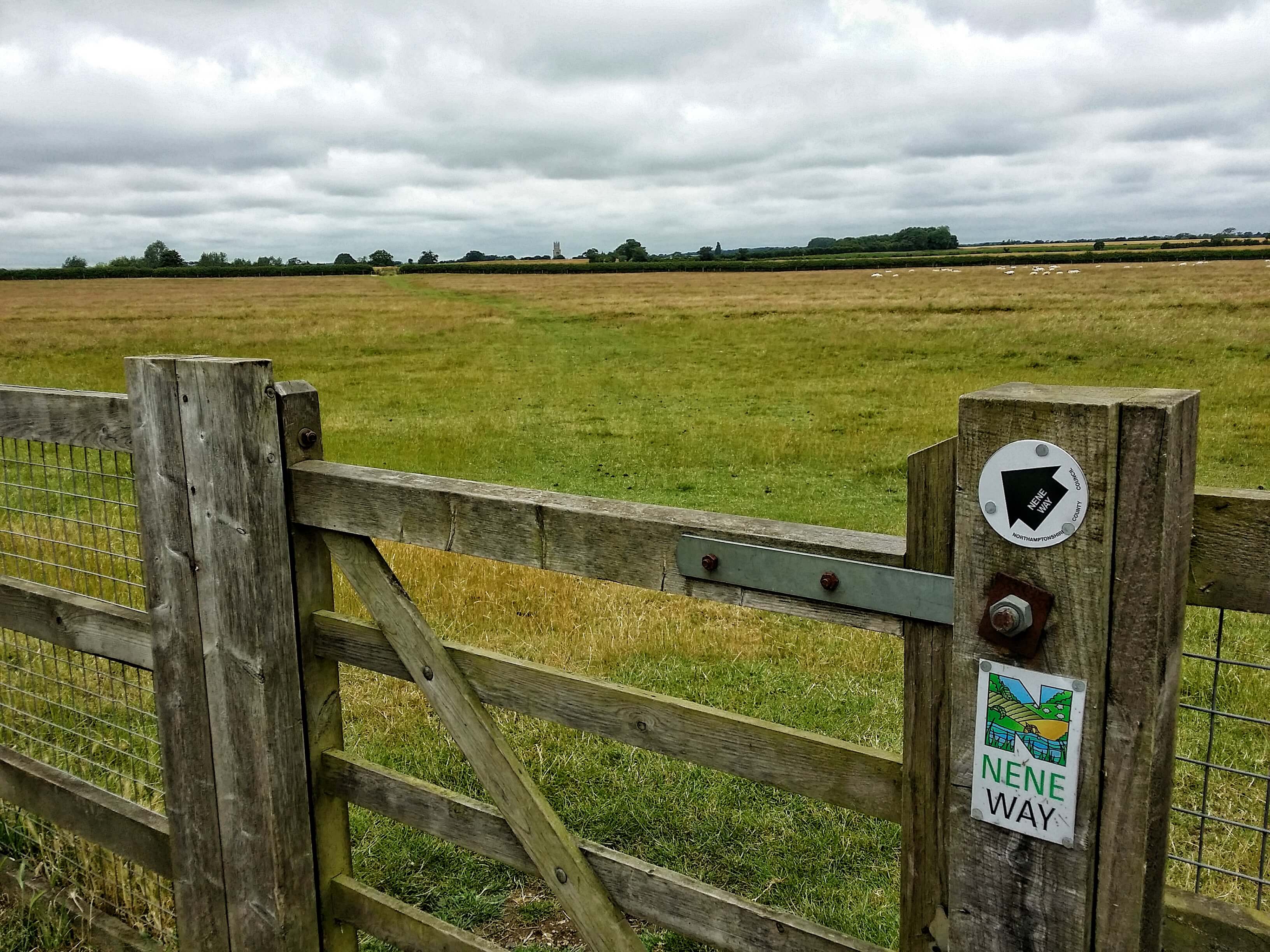 Nene Way – The Helpful Hiker