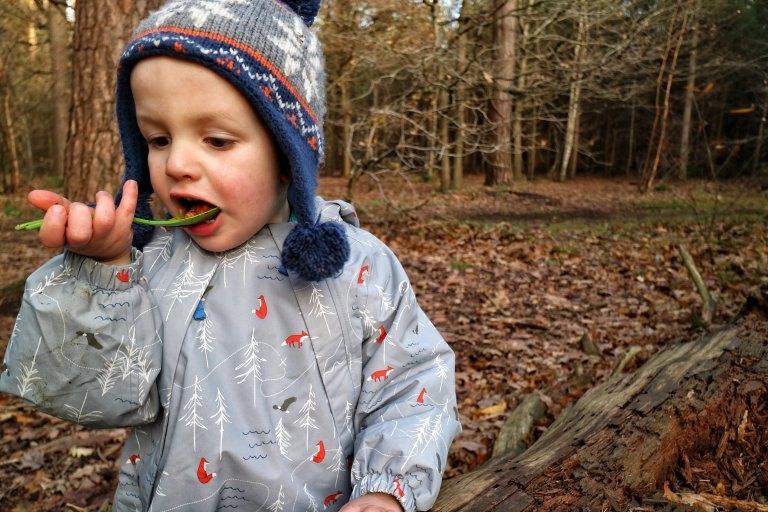 Review: Summit to Eat Freeze Dried Adventure Food – The Helpful Hiker