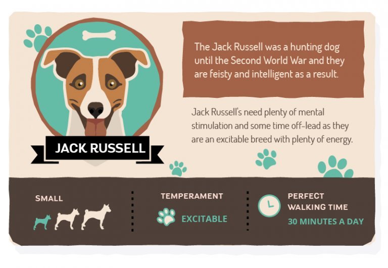 5 Dog-friendly Walking Routes in the Lake District – The Helpful Hiker