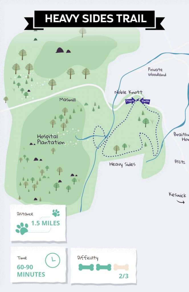 5 Dog-friendly Walking Routes in the Lake District – The Helpful Hiker