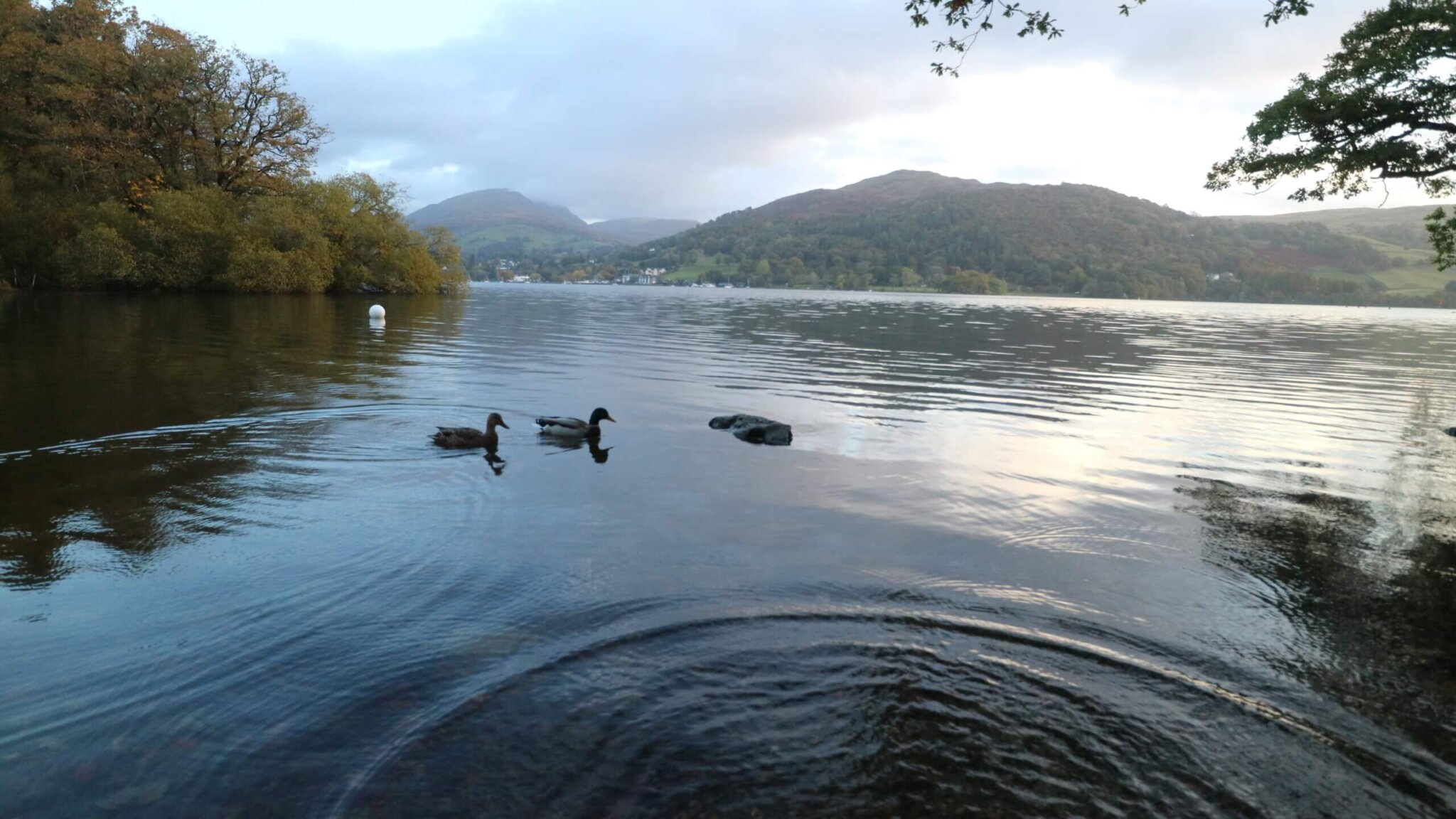 Review: Camping Pod at Low Wray Campsite – The Helpful Hiker