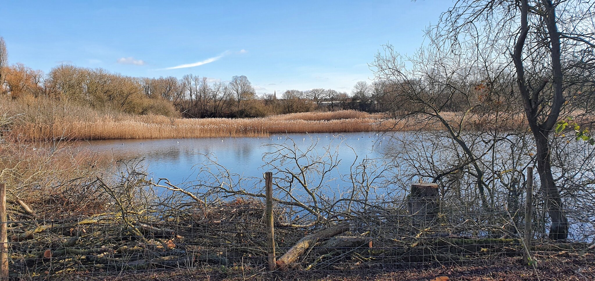 Walks near Rushden Lakes – The Helpful Hiker