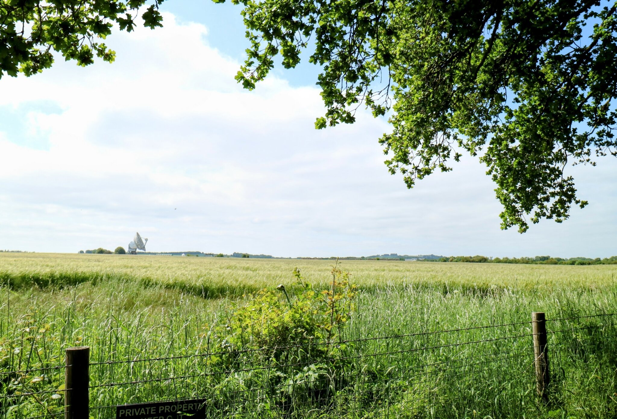 Hampshire Pub Walk – The Helpful Hiker